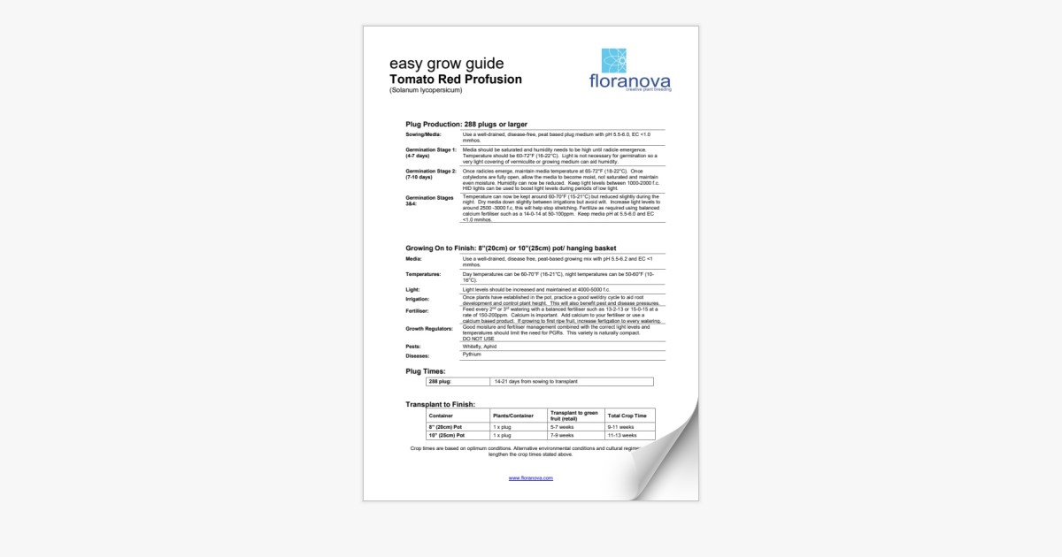 Tomato_Red_Profusion_Easy_Grow_Guide2