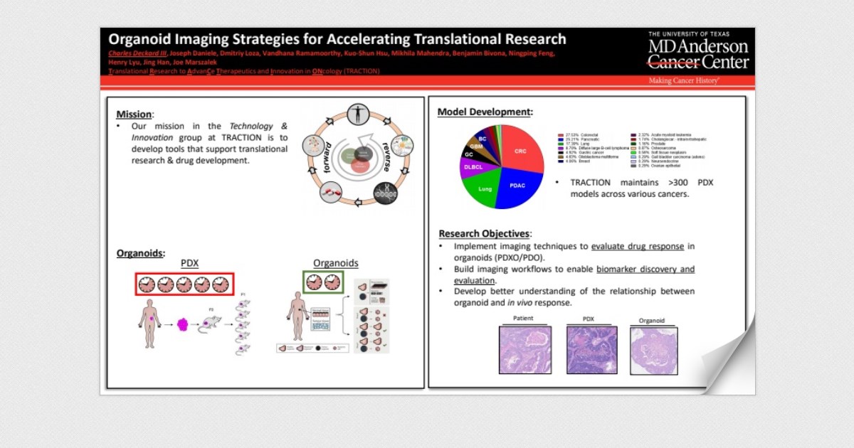 Organoid Imaging Strategies for Accelerating Translational