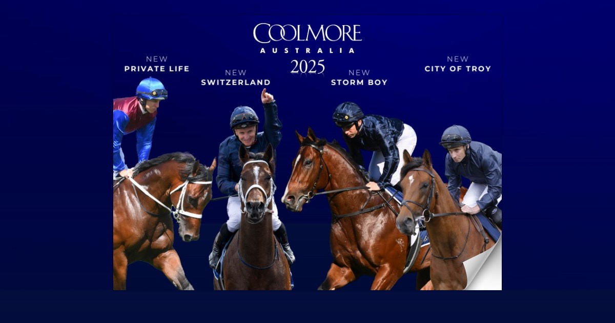 2025 Coolmore Australia Brochure - Page 40
