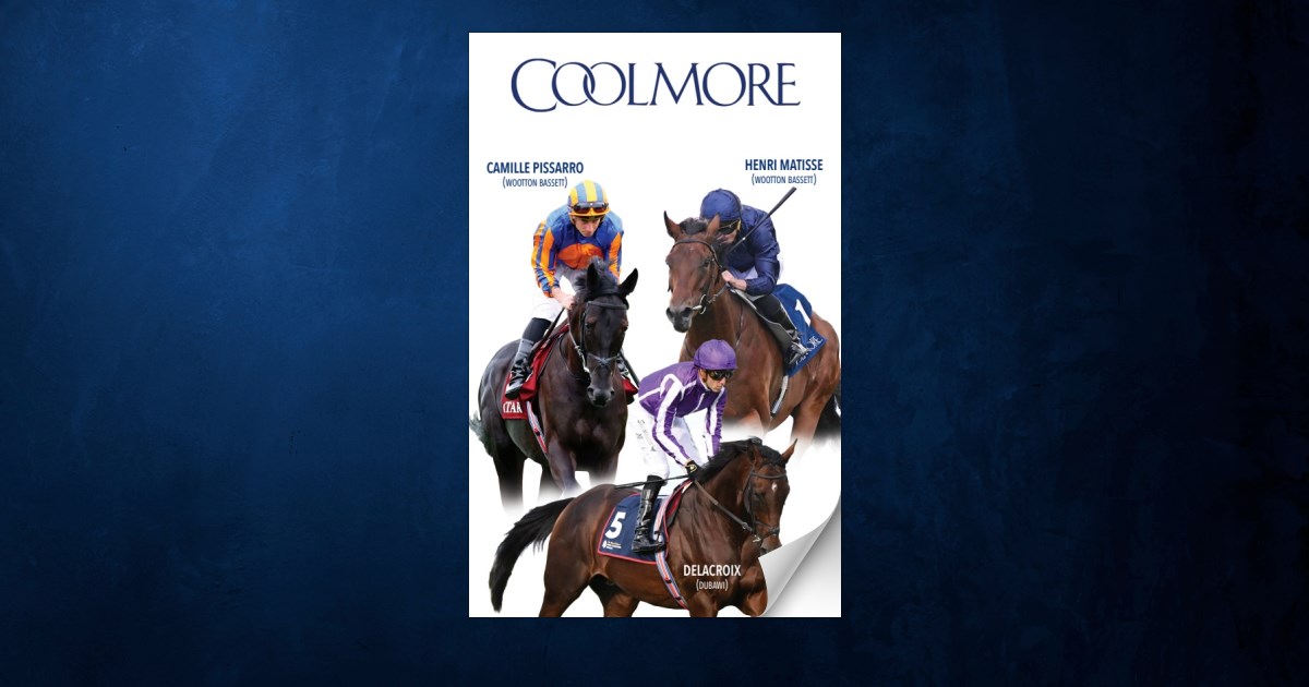 2026 Coolmore Digital Brochure - Page 3