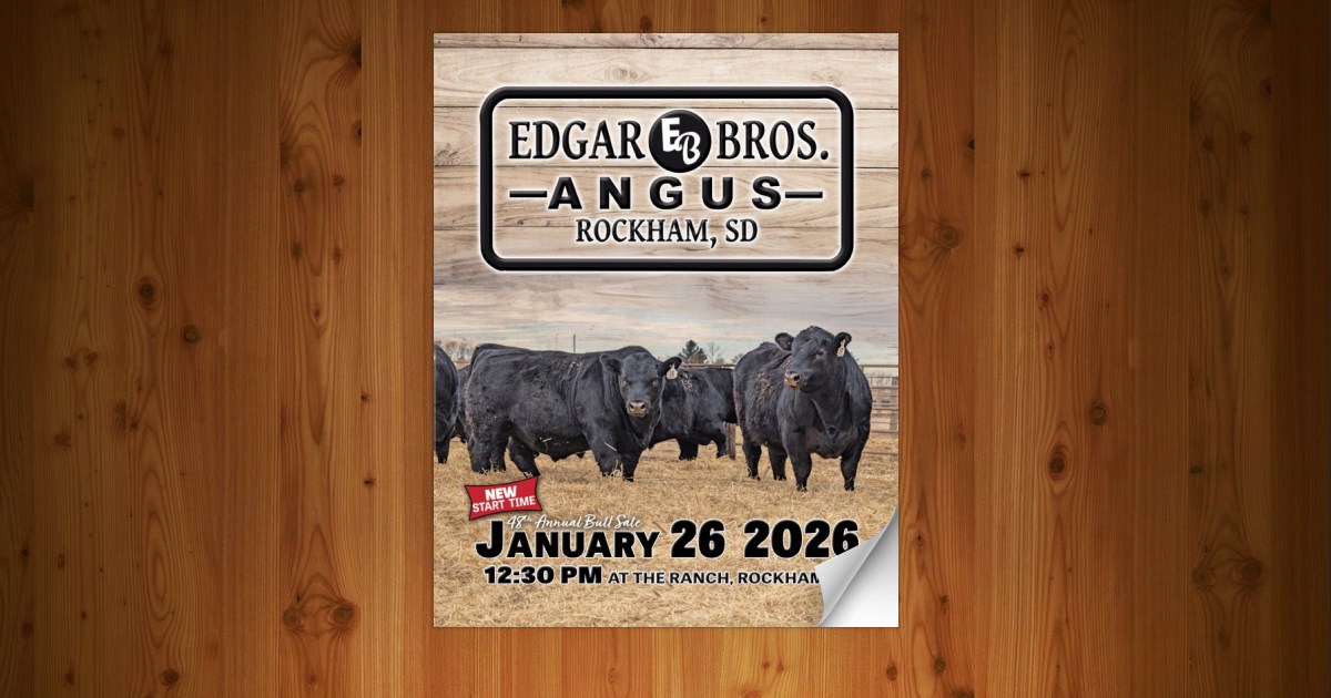 Edgar Brothers - 48th Annual Angus Bull & Female Sale [1/26/26]