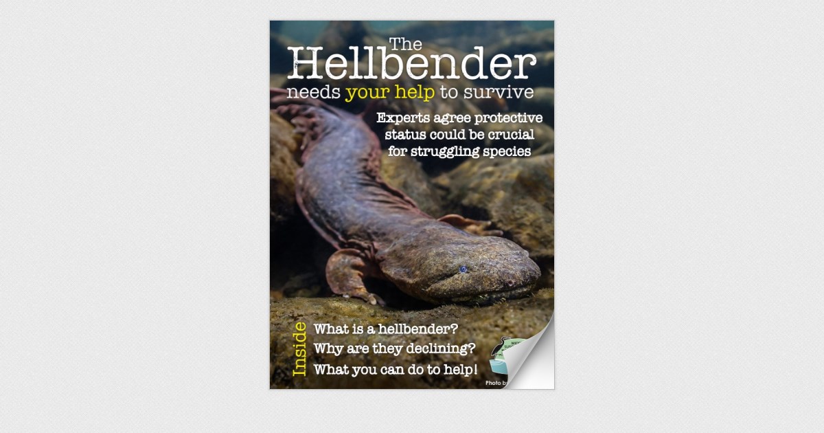 Hellbender cover