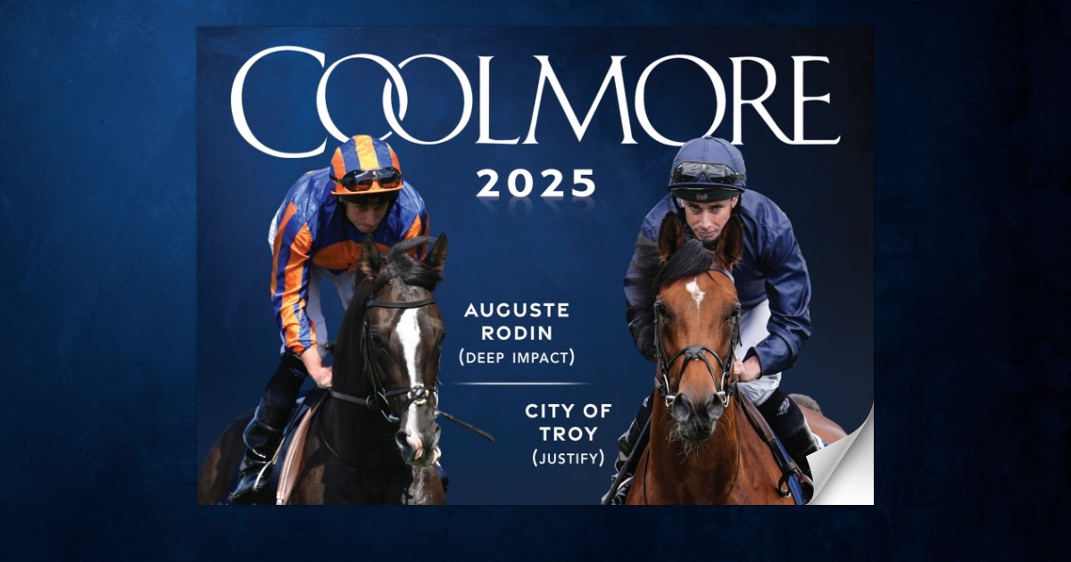 Coolmore 2025 Digital Brochure - Page 14