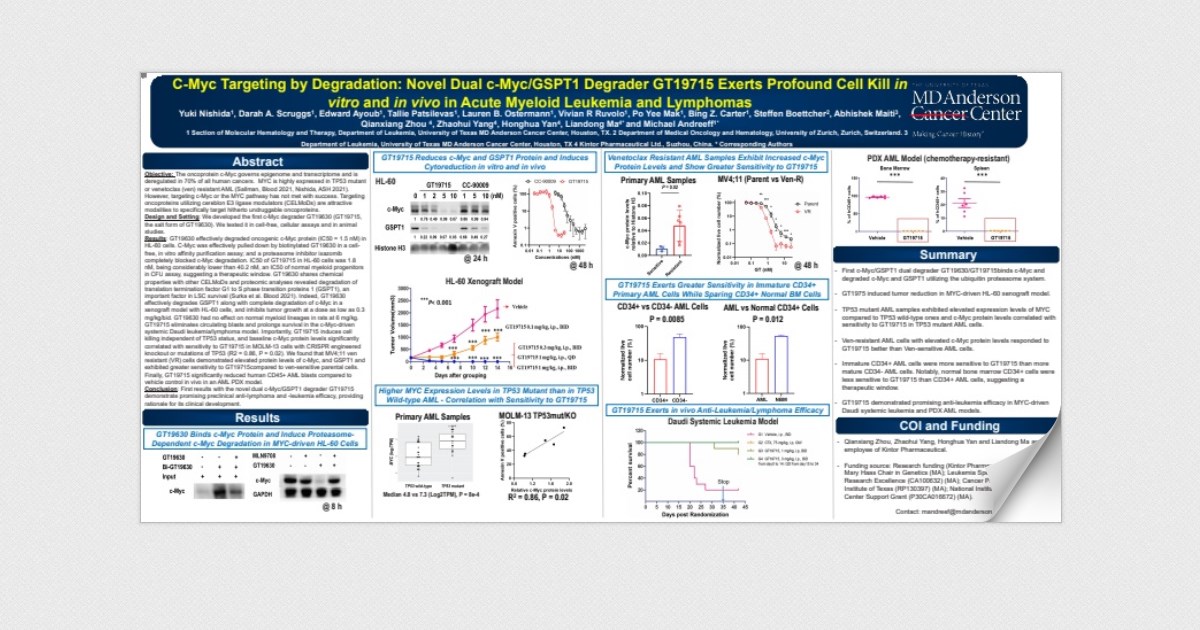 C-MYC Targeting by Degradation: Novel Dual c-Myc/GSPT1 Deg…