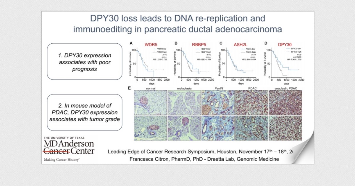 DPY30 loss leads to DNA re-replication and immunoediting in…