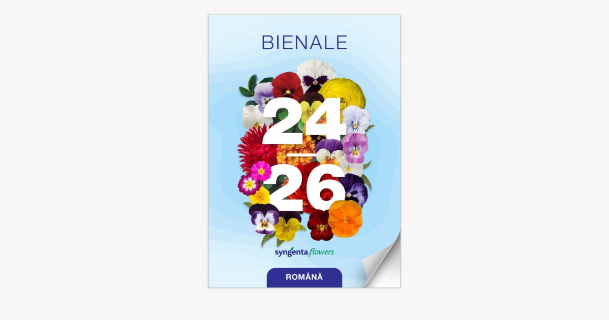 2024-2026 - BIENALE - Page 24-25