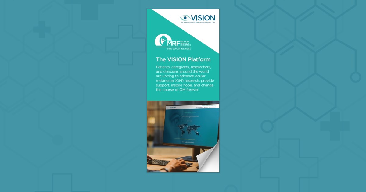 VISION Registry Brochure - Page 4