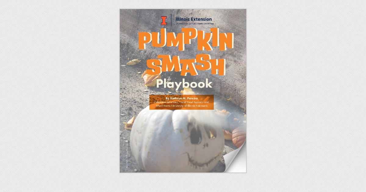 Pumpkin Smash Playbook