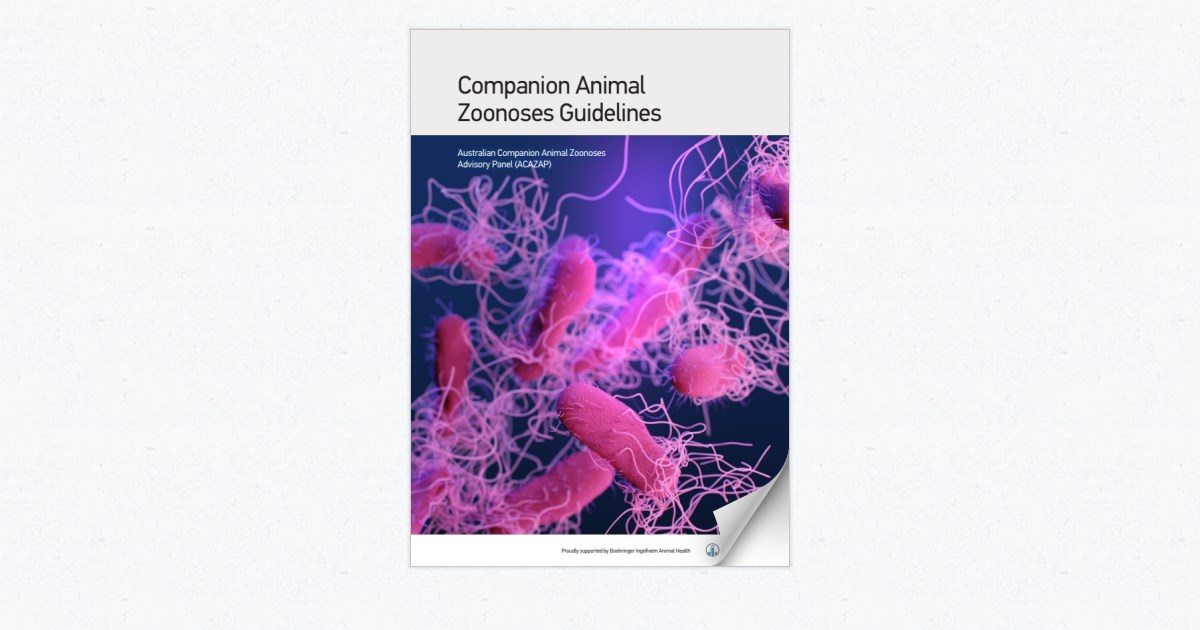 Companion Animal Zoonoses Guidelines