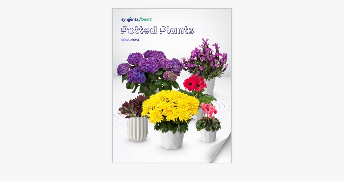 2023-2024 Potted Plants Catalog | Americas