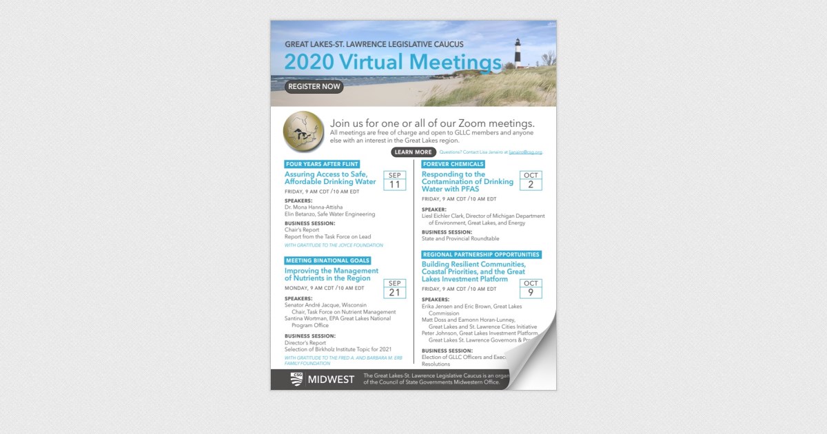 GLLC 2020 Virtual Meetings Briefing Book