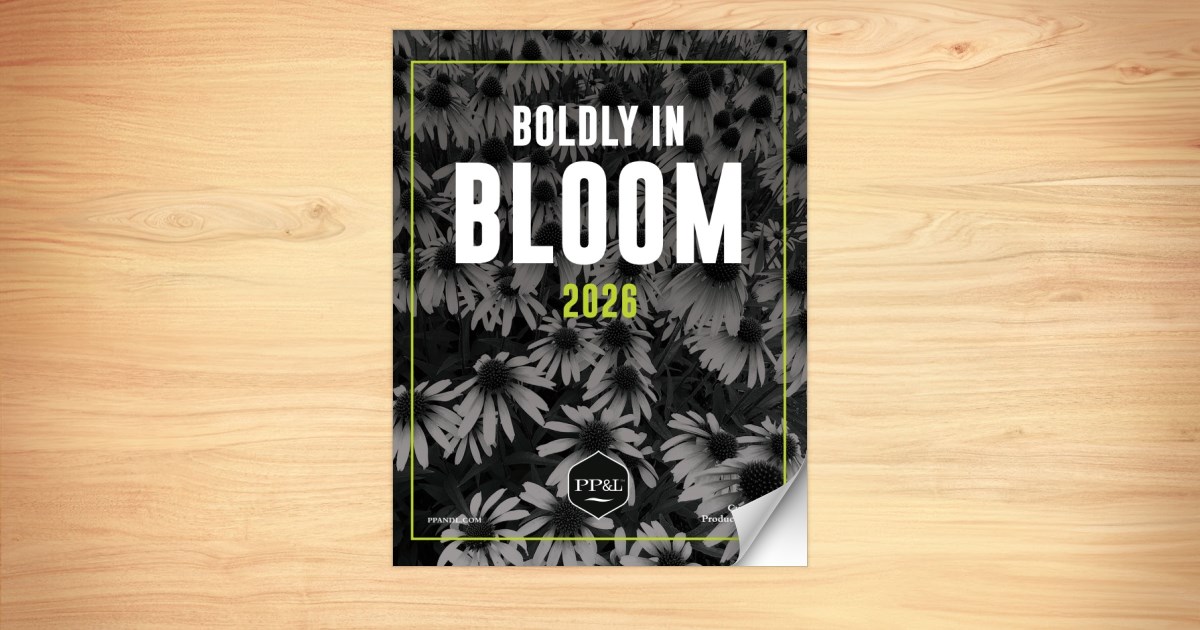 2023-2024 Full Product Listing - Page 30