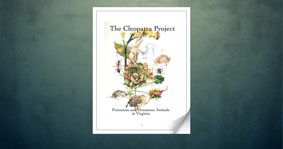 FFAC "The Cleopatra Project" Art Catalogue August 7 2022