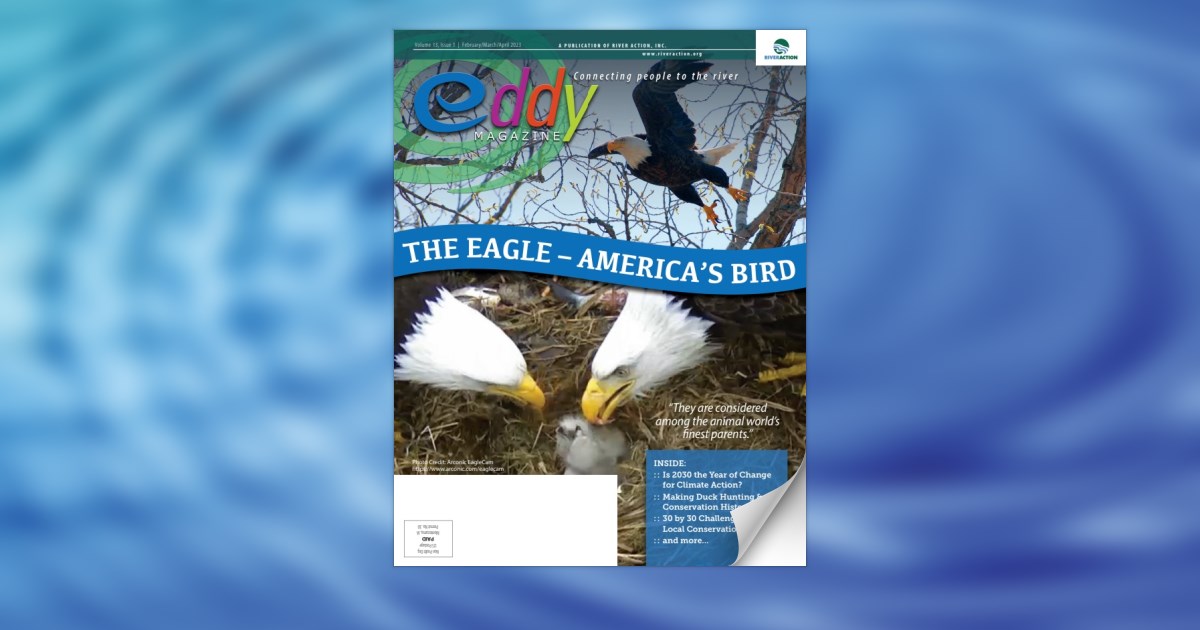 Eddy Magazine | Vol. 13 | Issue 1