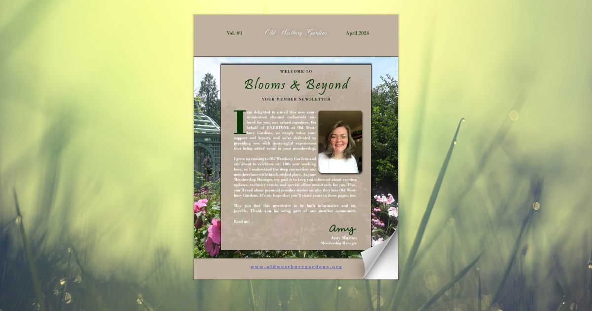 Blooms & Beyond - Vol. 1, April 2024 - Page 2